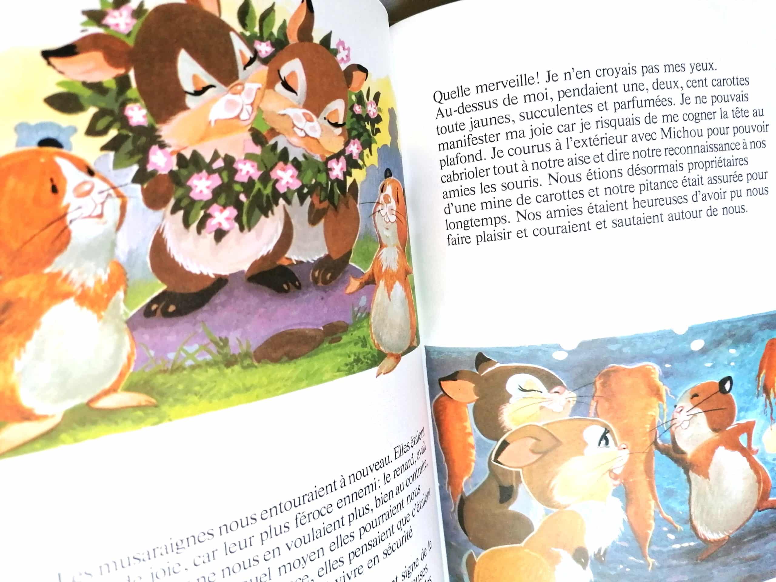 L'histoire de Rataplan, le lapin - Grenier d'enfance